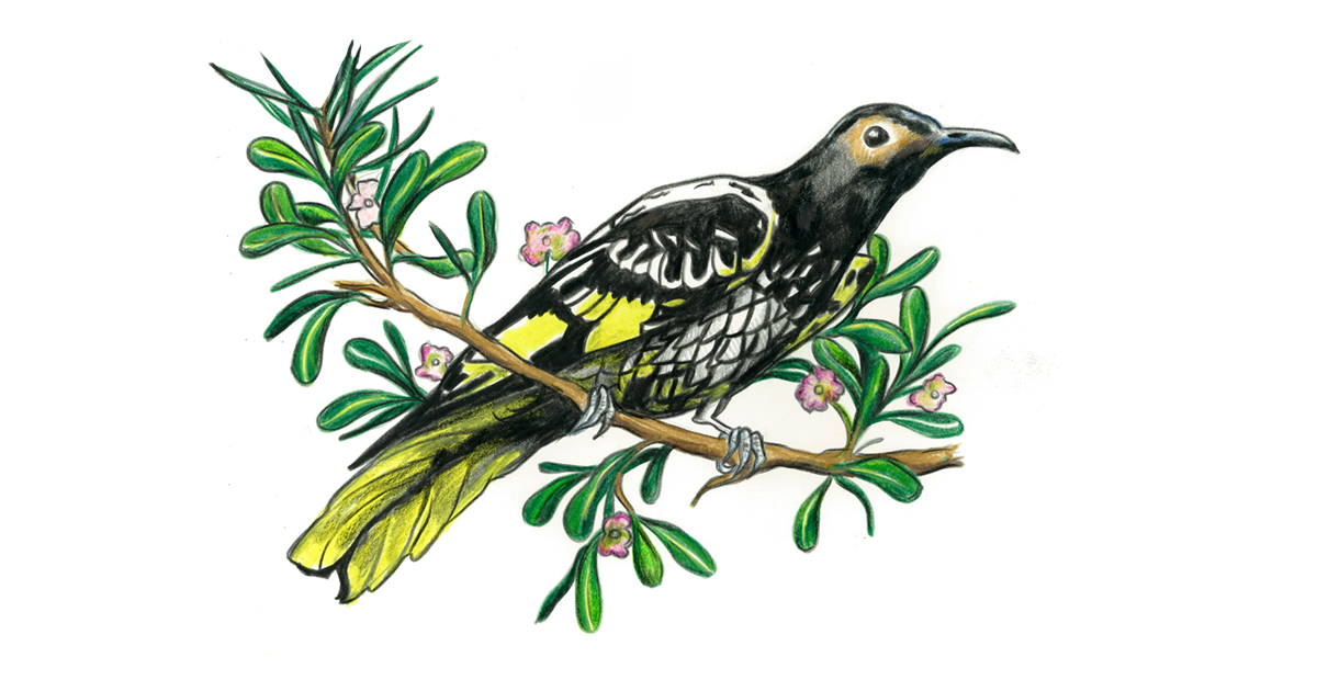 About Jess | Artist | Jess Harwood Art | Sydney